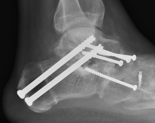 Management | The Bone School